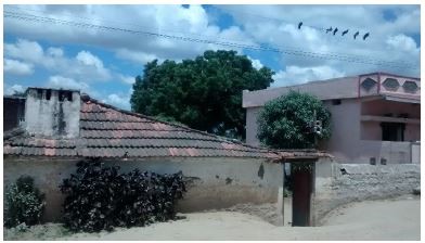 The Traditional Houses in Andhra